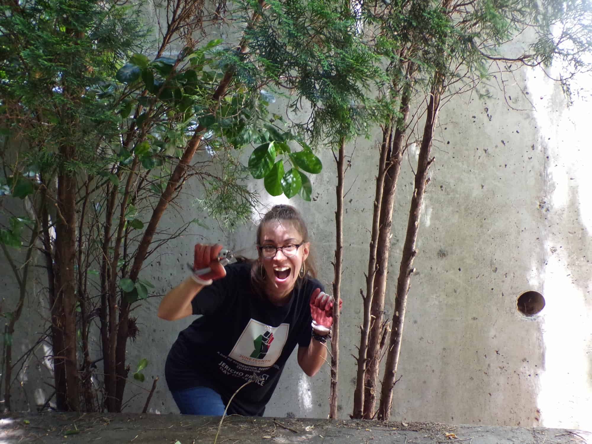 Get Involved - Jericho Project