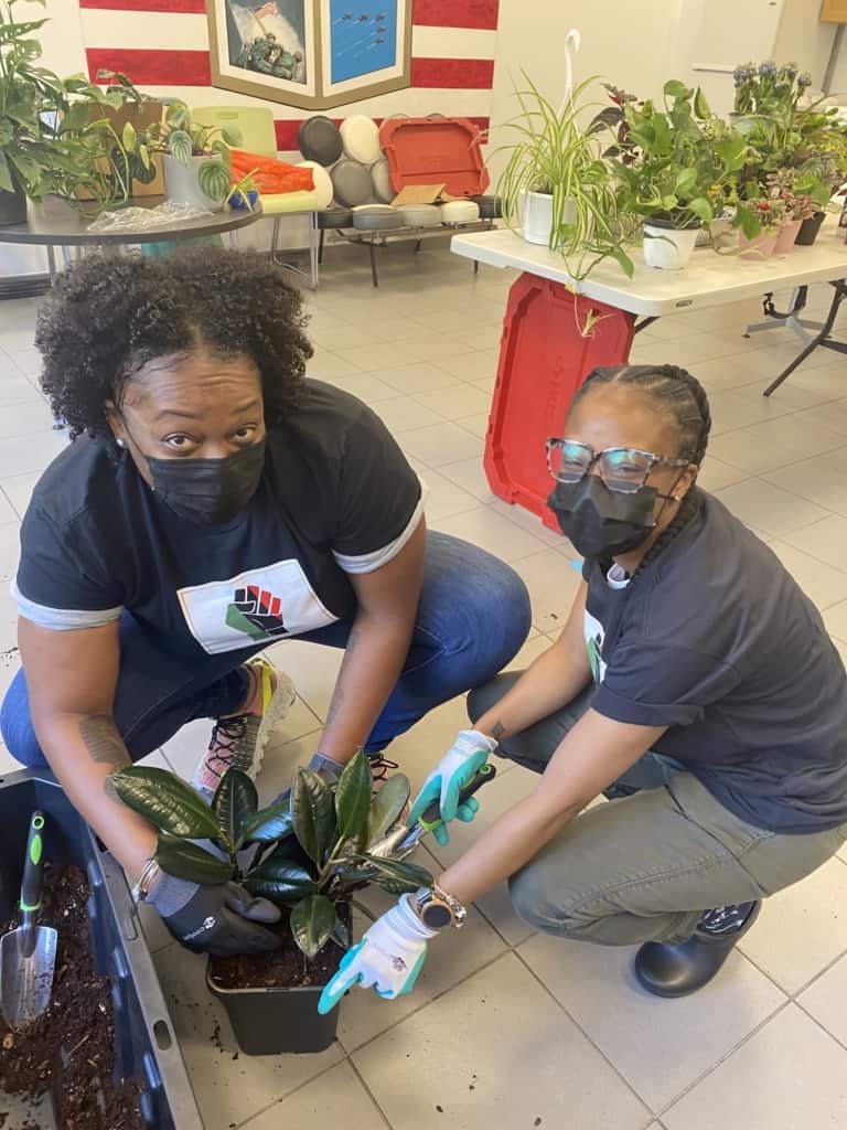 Get Involved - Jericho Project