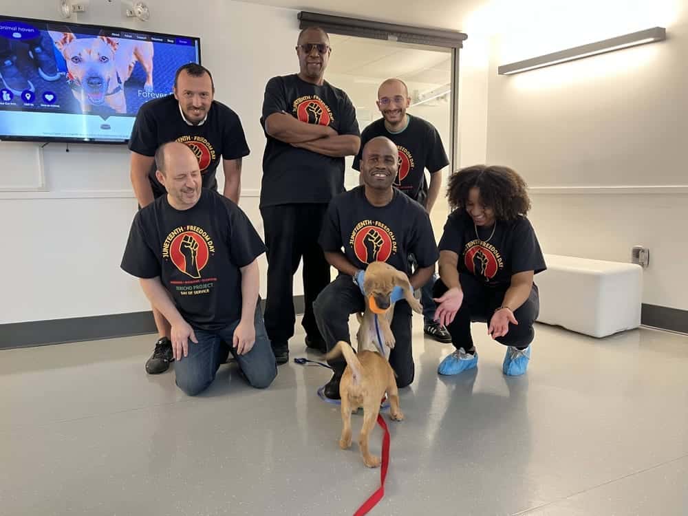 Day of Service - Jericho Project