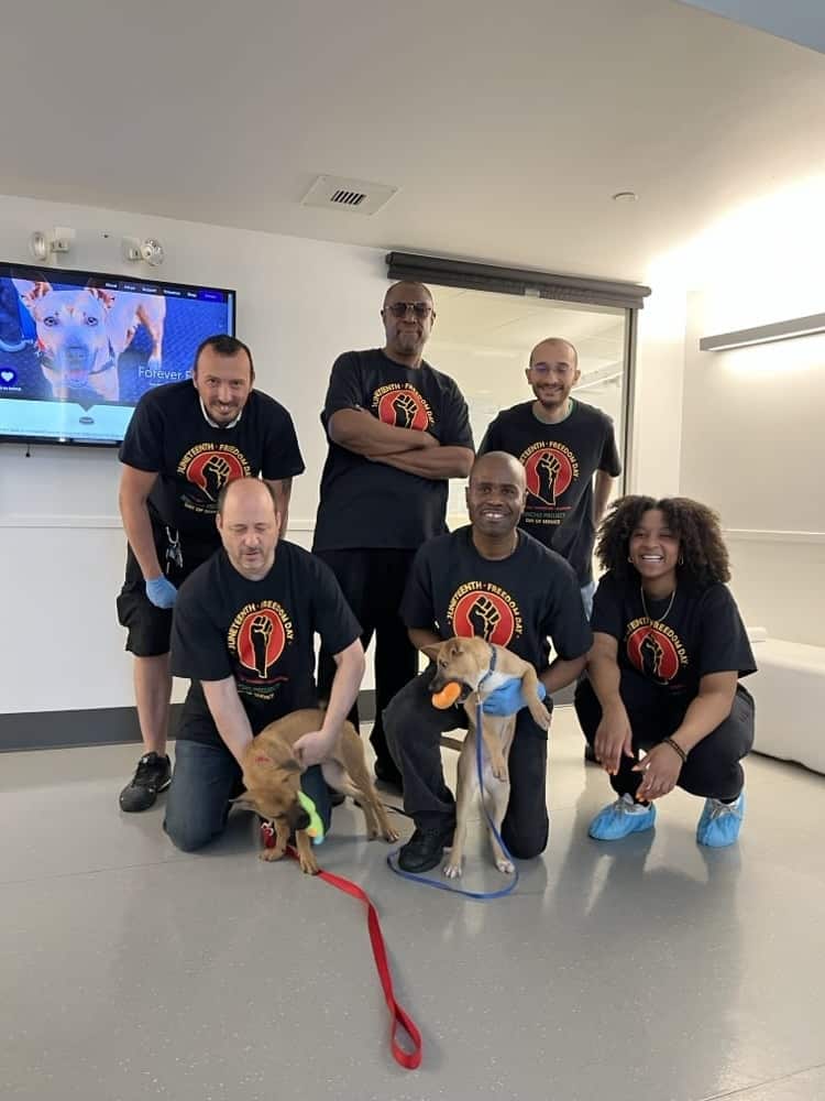 Day of Service - Jericho Project