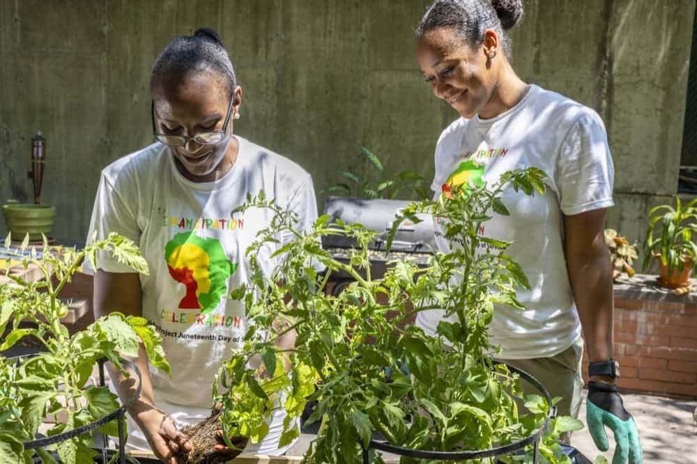 Programs & Services - Jericho Project