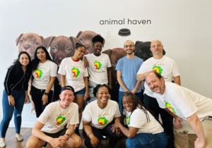 Employment Opportunities - Jericho Project